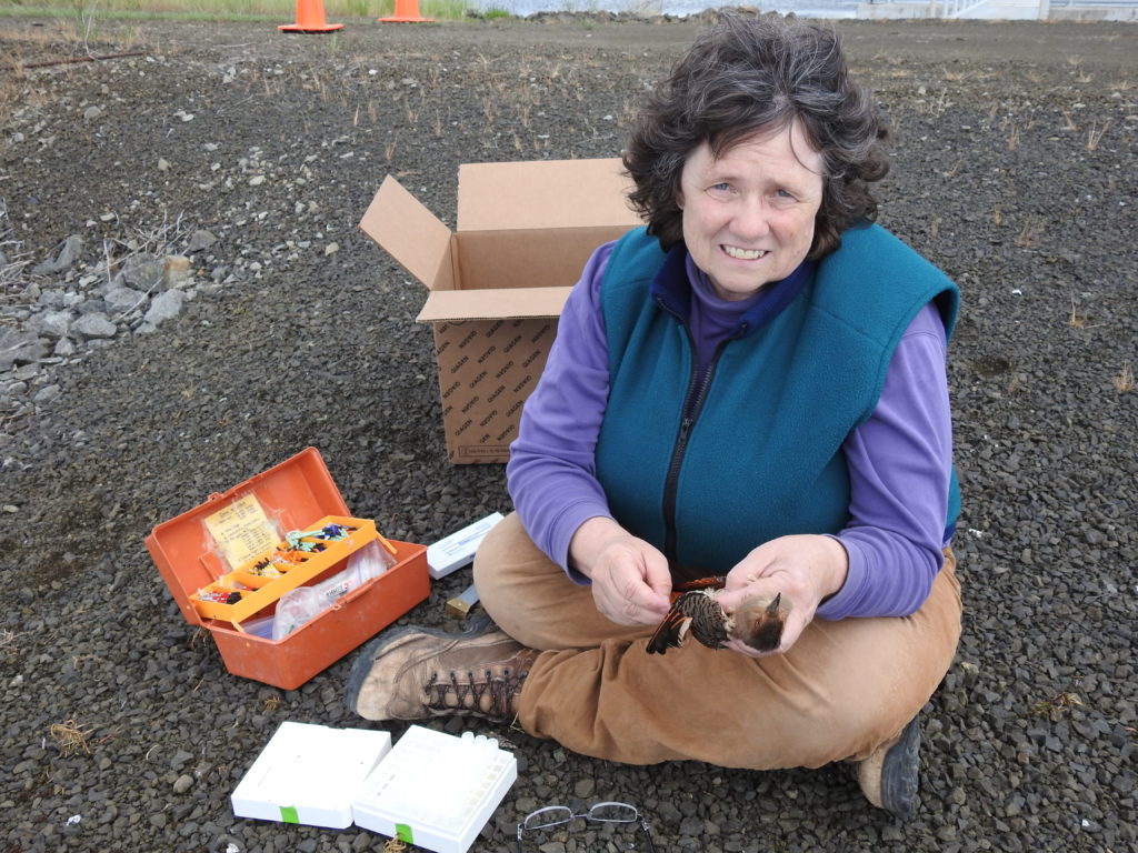 2020 Stettenheim Award Winner: Susan Haig