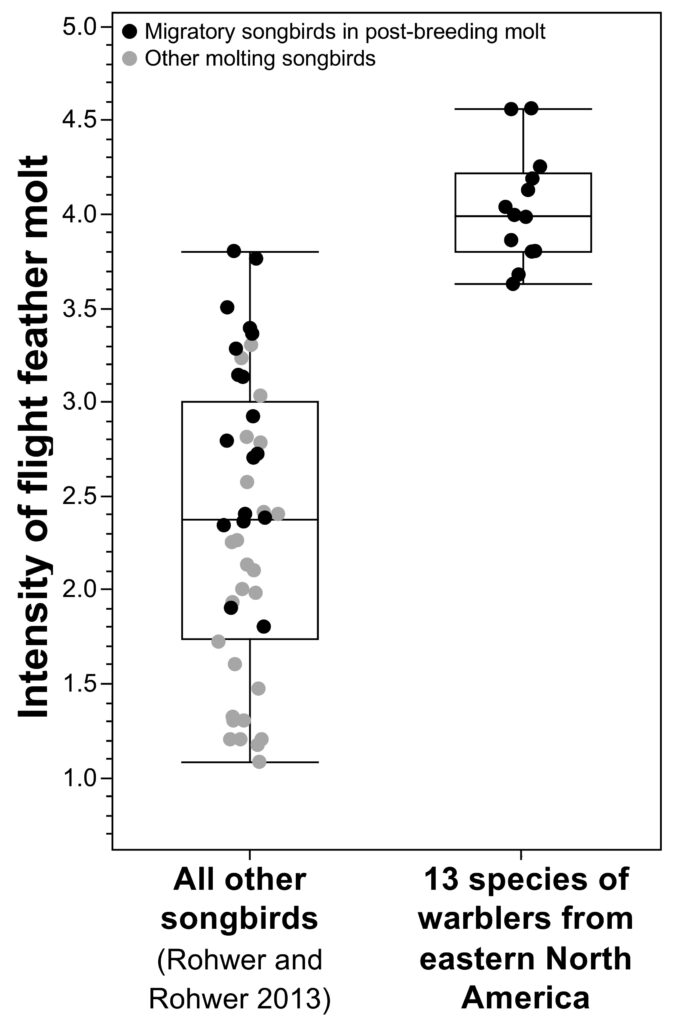 High-intensity Flight Feather Molt: A Cryptic but Critical Phase of the ...
