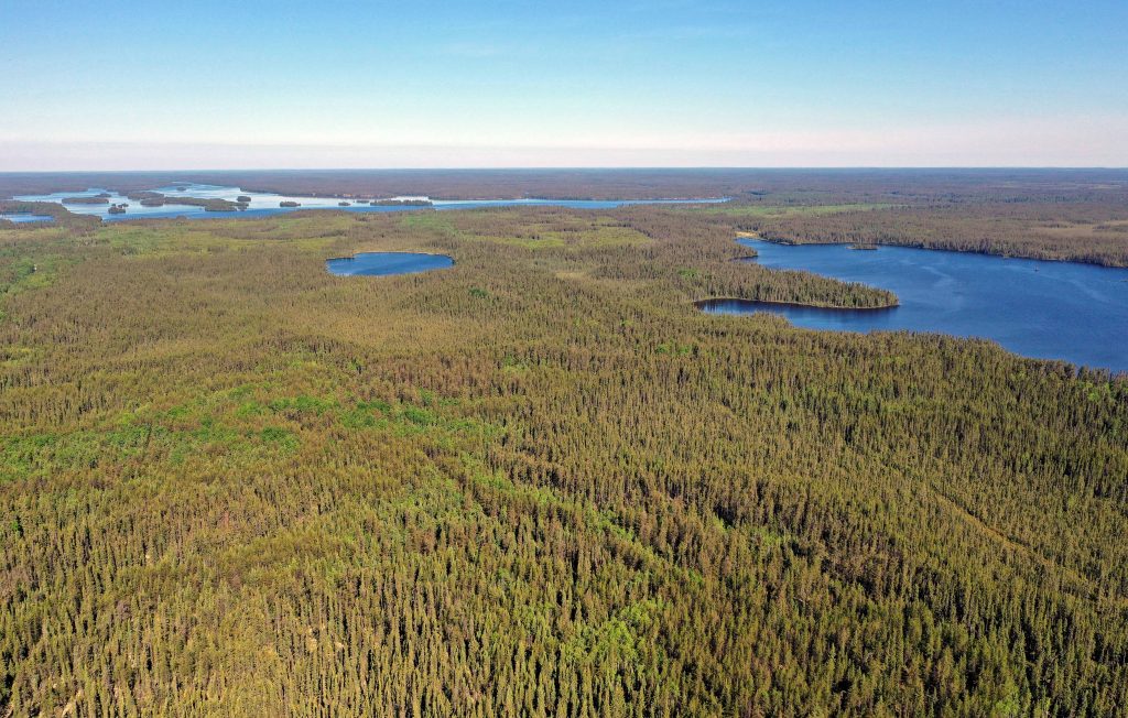 Variation in migration phenology of boreal breeding birds is linked to ...