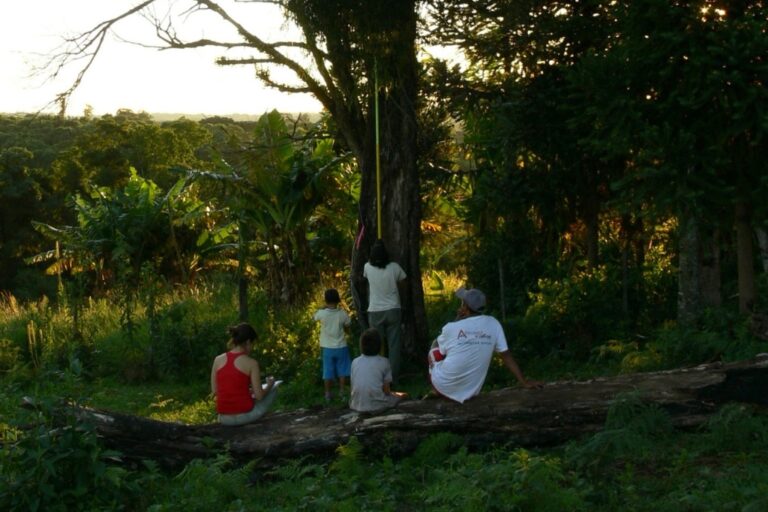 Hidden Nests: Advances and Challenges in the Research and Conservation ...
